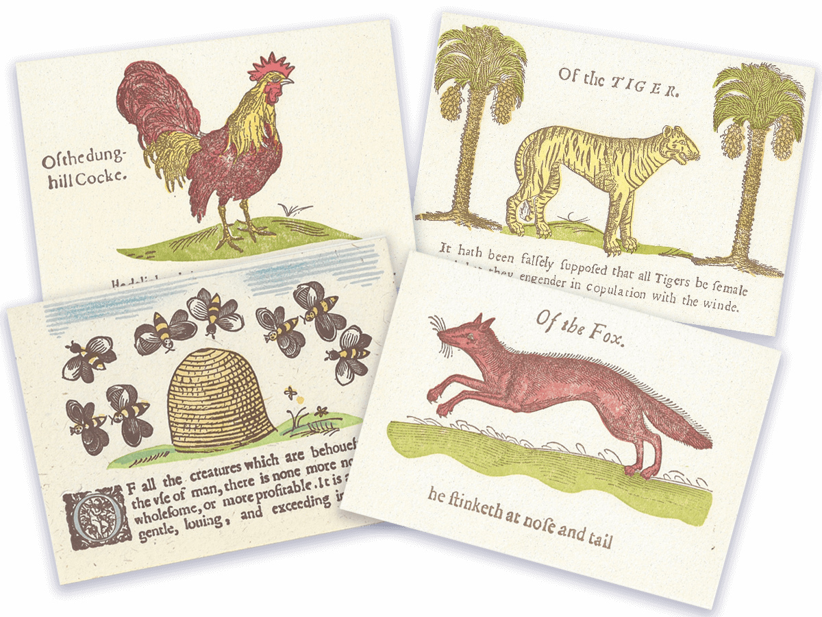 HOME - First Folio Cards