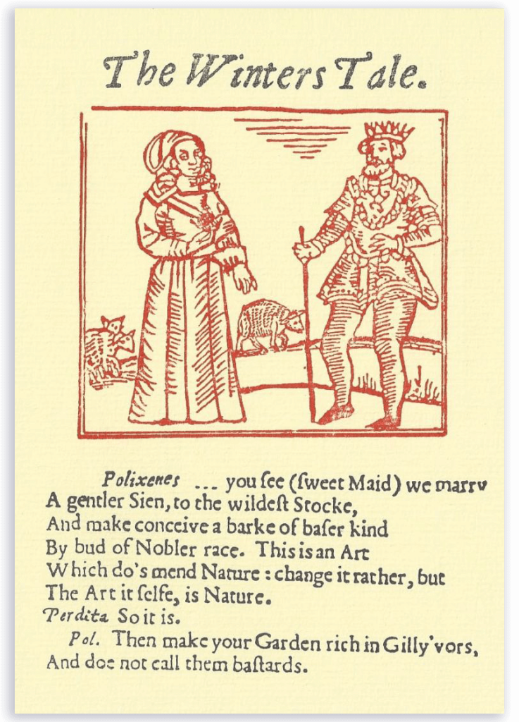 The Winters Tale 114 - First Folio Cards